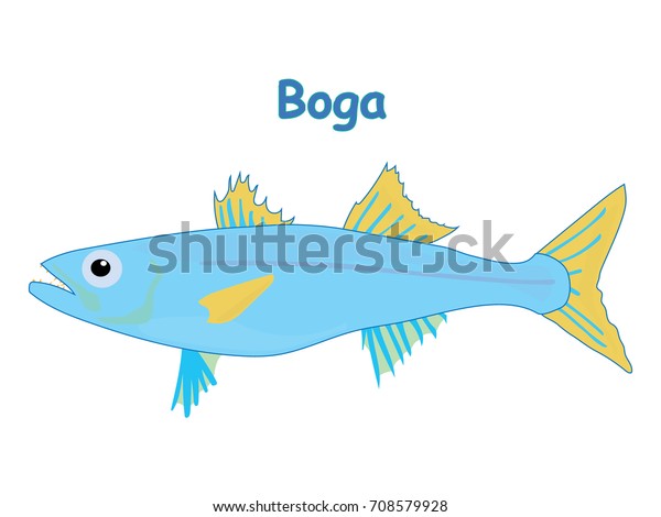 Boga Fish Vector Cartoon Illustration T Stock Vector (Royalty Free ...