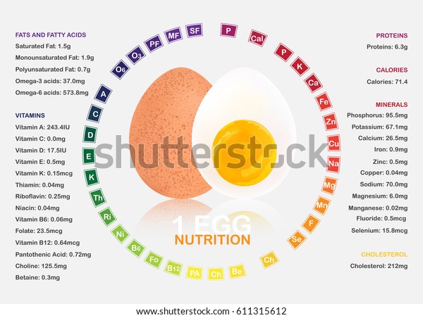 Boiled Egg Nutrition Facts Infographic Stock Vector Royalty Free 611315612 Shutterstock