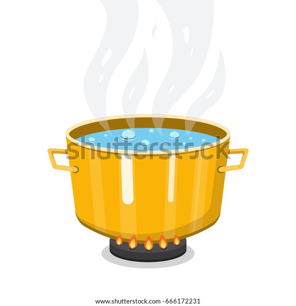 Boiling Water Pan Cooking Pot On Stock Vector (Royalty Free) 666172231 ...