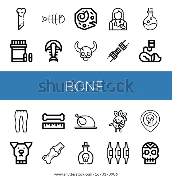 Bone Icon Set Collection Bone Analgesic Stock Vector (Royalty Free ...
