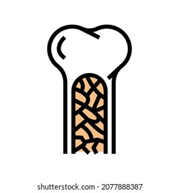 Bone Marrow Color Icon Vector Bone Stock Vector (Royalty Free) 2077888387