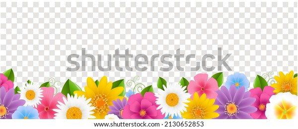 Border Spring Flowers Isolated Transparent Background 库存矢量图（免版税 ...