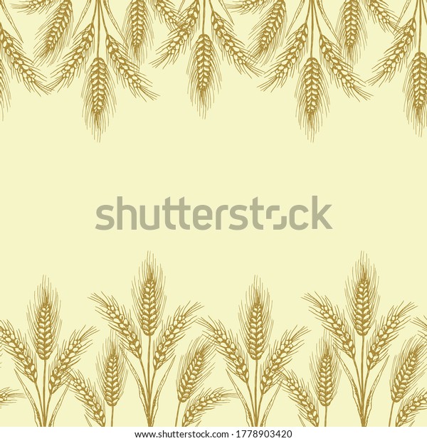 Border Template Ears Wheat Template Banner Stock Vector (Royalty Free ...