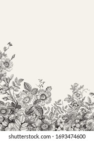 4,328 Rose Bush Border Images, Stock Photos & Vectors | Shutterstock
