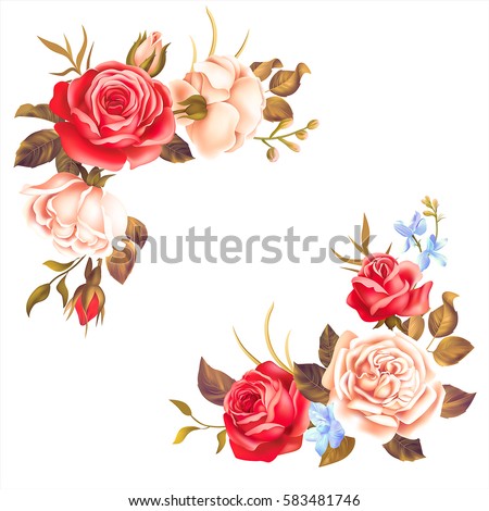 Borders White Red Roses On White Stock Vector (Royalty Free) 583481746 ...