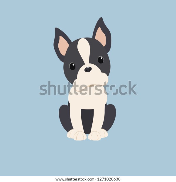 Boston Terrier Dog Breed Vector Doodle Stock Vector (Royalty Free ...