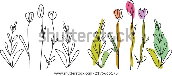 Botanical Digital Line Drawing Without Color Stock Vector (Royalty Free ...