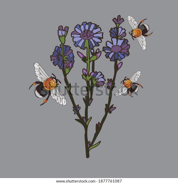 Botanical Illustration Elements Plants Blue Flowers Stock Vector ...