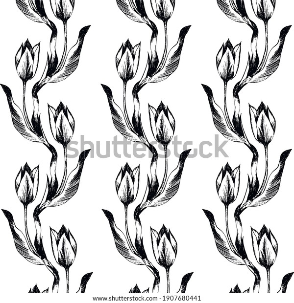 Botanical Illustration Tulip Hand Drawing Pictures Stock Vector ...