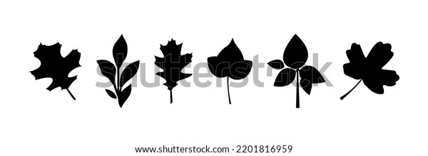 Botanical Leaves Design Decor Set Leaves Stock Vector (Royalty Free ...