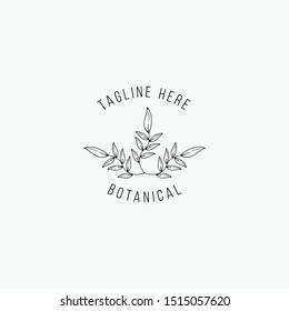 Botanical Logo Template Elegant Hand Drawn Stock Vector (Royalty Free ...