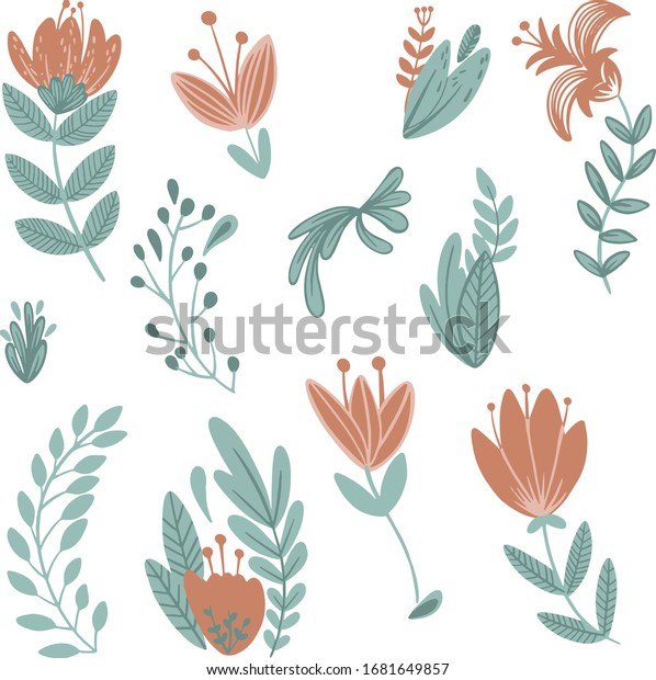 Ilustración vectorial botánica. Elementos de diseño: vector de stock ...