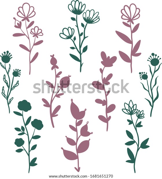 Botanical vector illustration. Graphic design elements for your ...