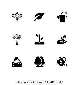 Botany Icon 9 Botany Set Bud Stock Vector (Royalty Free) 1154847847 ...