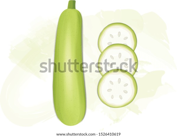 Bottle Gourd Vector Illustration Vector Pieces Stock Vector (Royalty ...
