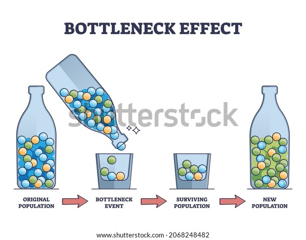 Bottleneck Effect On Genetic Drift Population Stock Vector (Royalty ...