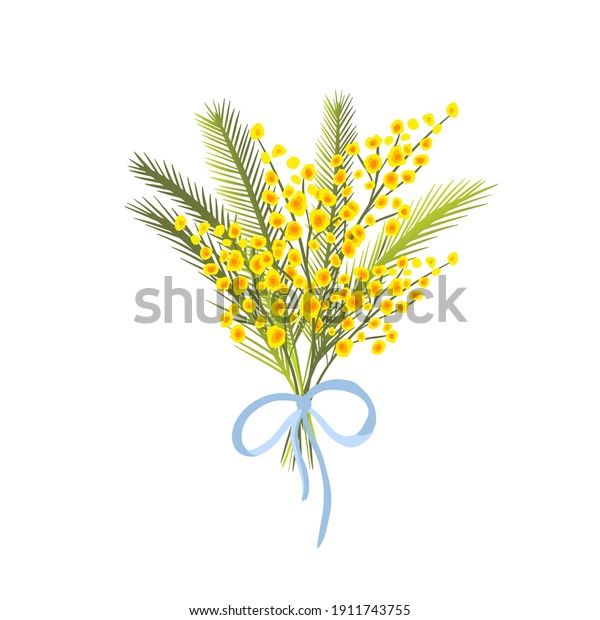 Bouquet Mimosas Vector Illustration Stock Vector (Royalty Free ...