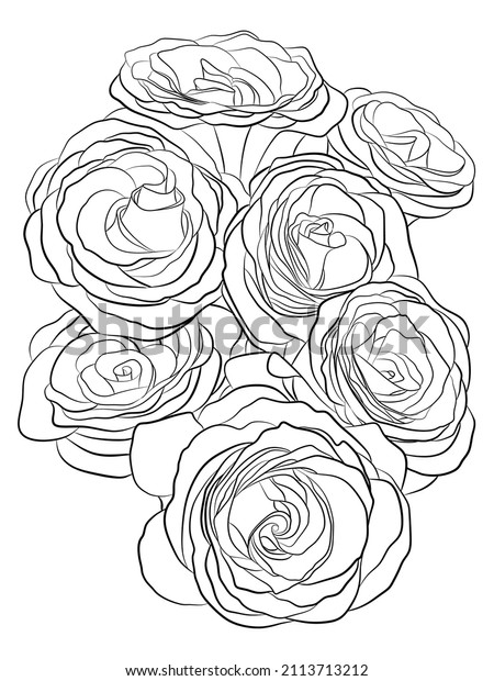 Bouquet Roses Linear Vector Drawing Stock Vector (Royalty Free ...