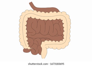 Bowel Image White Background Stock Vector (Royalty Free) 1673183695 ...