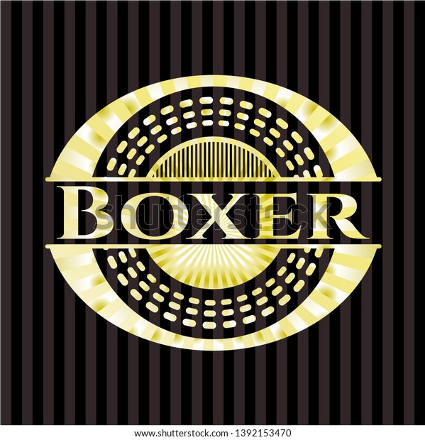 Boxer Gold Emblem Vector Illustration Detailed Stock Vector (Royalty ...