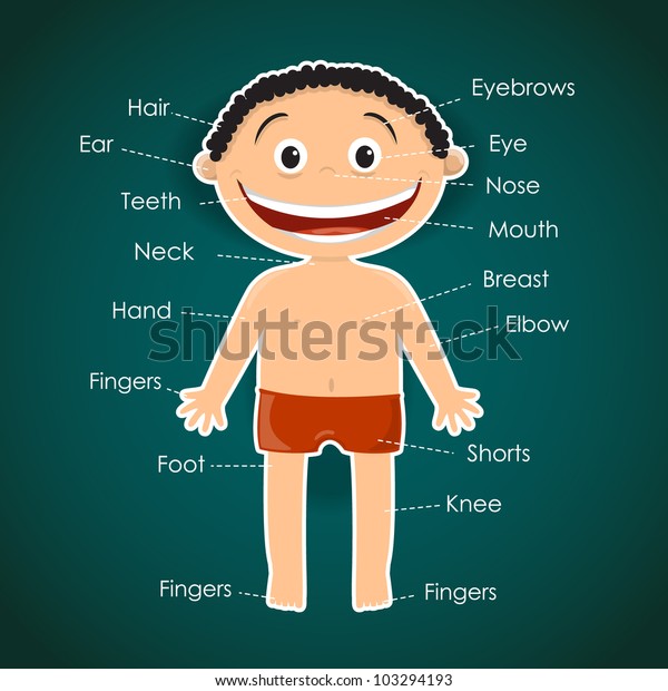 Boy Parts Body Vector Illustration Stock Vector (Royalty Free) 103294193