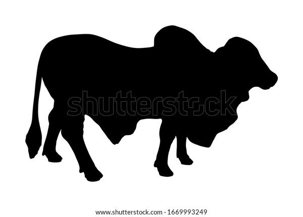 84 Brahman Silhouette Stock Vectors, Images & Vector Art | Shutterstock