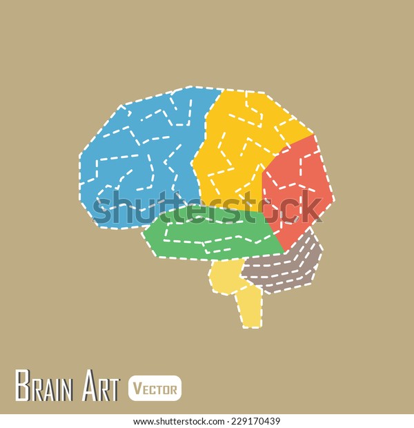 Brain Anatomy Frontal Lobe Parietal Lobe Stock Vector (Royalty Free ...