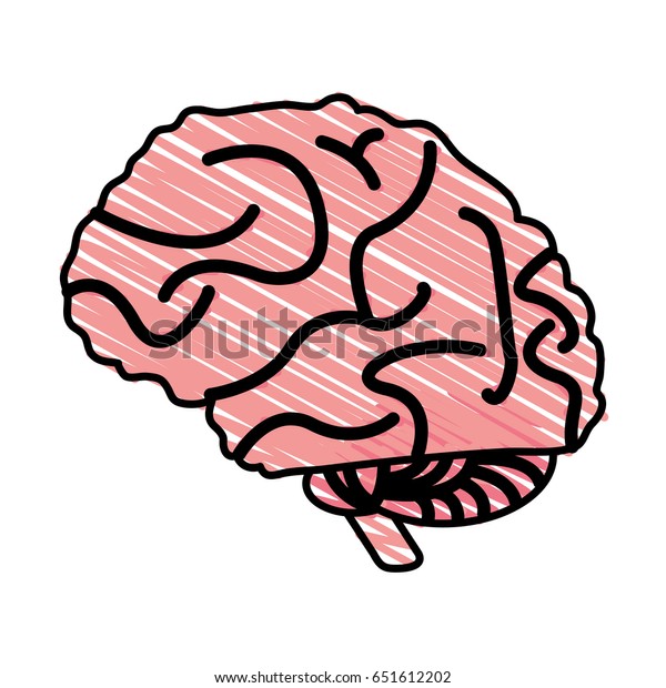 Brain Cartoon Illustration Shadow Stock Vector (Royalty Free) 651612202 ...