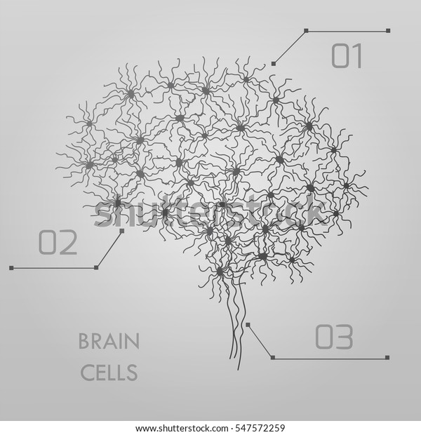 Brain Cells Connectome Concept Stock Vector Stock Vector (Royalty Free ...
