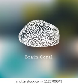 Brain Coral Vector Illustration Drawing Sea: vector de stock (libre de ...
