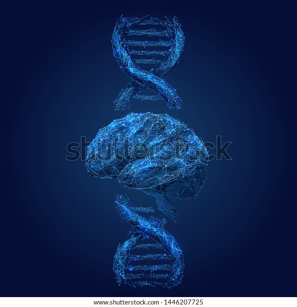 Brain and DNA spiral low poly wireframe illustration. Polygonal neurons ...
