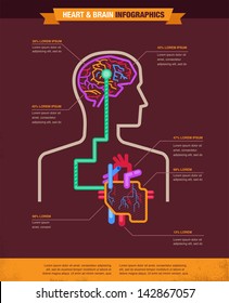 Brain Heart Connected Infographic Stock Vector (Royalty Free) 142867057 ...