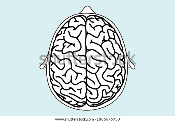 Brain Line Art Vector Illustration Stock Vector (Royalty Free ...