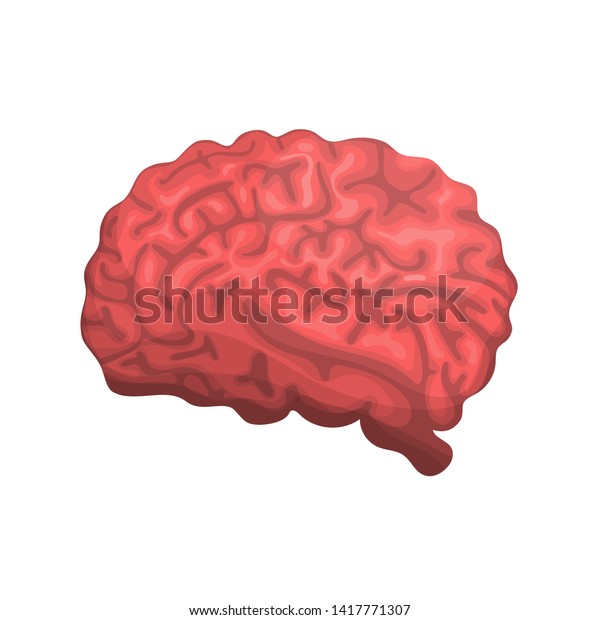Brain Mind Side View Vector Icon Stock Vector (Royalty Free) 1417771307 ...
