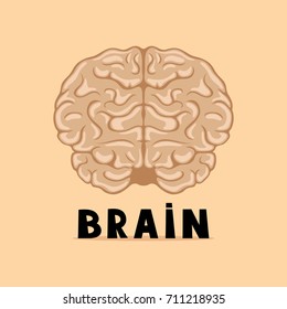 Brain On Beige Background Stock Vector (Royalty Free) 711218935 ...