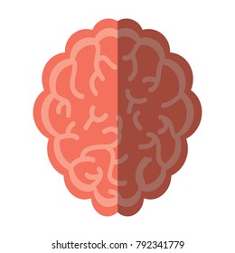 Vector Cartoon Illustration Fresh Brain Puddle Stock Vector (Royalty ...