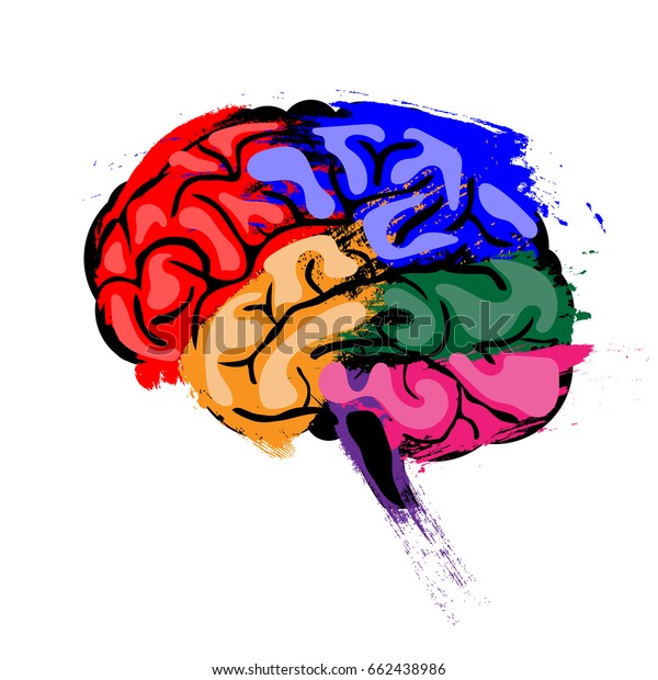Brain Person Represented Form Brush Strokes Stock Vector (Royalty Free ...