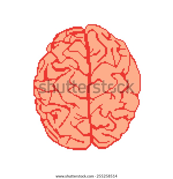 Brain Pixel Art 스톡 벡터(로열티 프리) 255258514 | Shutterstock