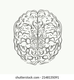 Brain Sketch Style Your Designs Stock Vector (Royalty Free) 2148135091 ...