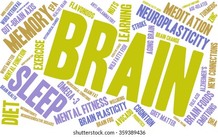Brain Word Cloud On White Background Stock Vector (Royalty Free ...