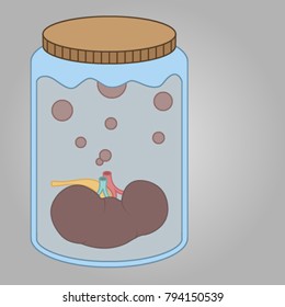 65 Pickled brain Images, Stock Photos & Vectors | Shutterstock