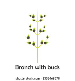 Branch Buds Cartoon Style Spring Card Stock Vector (Royalty Free ...