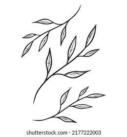 Branch Graphic Design Vector Illustration Art Stock Vector (Royalty ...