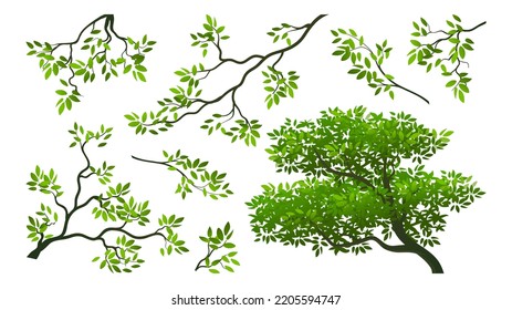 Branches Leaves Vector Illustration Cartoon Trees Stock Vector (Royalty ...