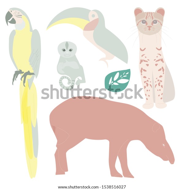 Brazilian Wild Animals Vector Illustration South Stock Vector (Royalty ...