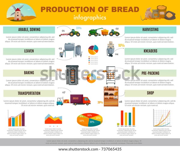 「Bread Production Infographics Information Charts About」のベクター画像素材 ...