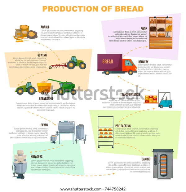 Bread Production Infographics Stages Grain Sowing: เวกเตอร์สต็อก (ปลอด ...