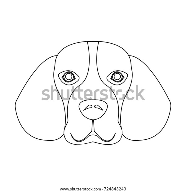 Breed Dog Beaglemuzzle Beagle Single Icon Stock Vector (Royalty Free ...
