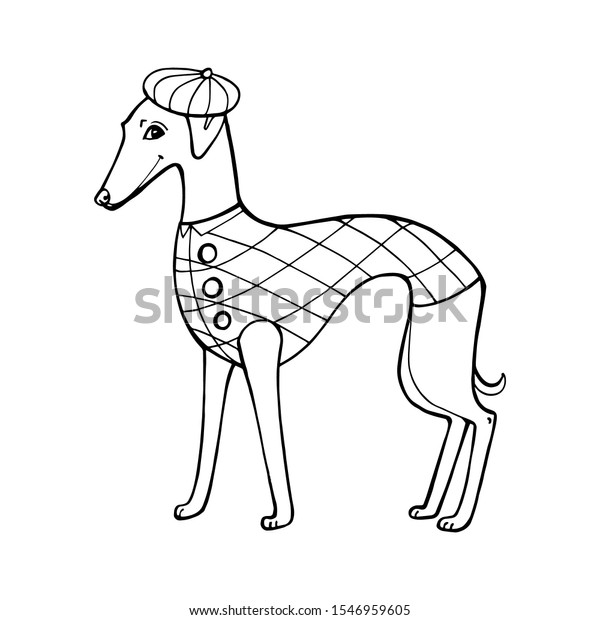 Breed Dog Whippet Hand Draw Isolated Stock Vector (Royalty Free) 1546959605