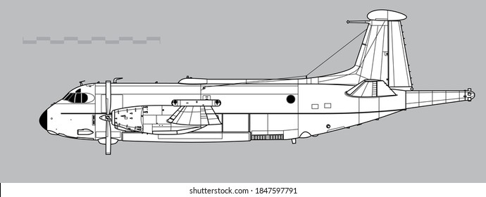 Bac Tsr2 Outline Vector Drawing 库存矢量图（免版税）1417746662 | Shutterstock